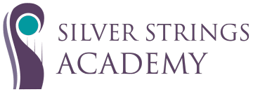 Frequently Asked Questions - Silver Strings